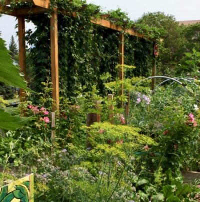 Community Garden Plots - Bankview Community Association