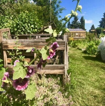 Community Garden Plots - Bankview Community Association