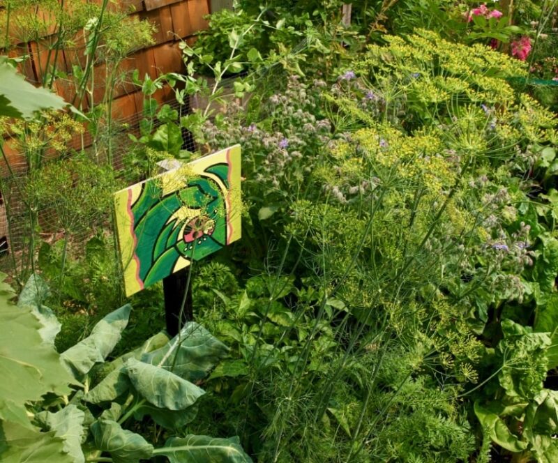 Community Garden - Bankview Community Association